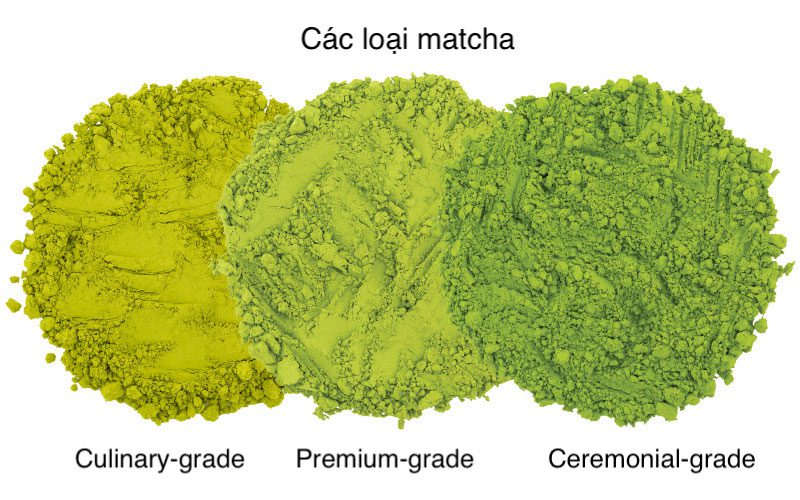Tìm hiểu về Matcha là gì? Nguồn gốc lịch sử - Phân loại Matcha