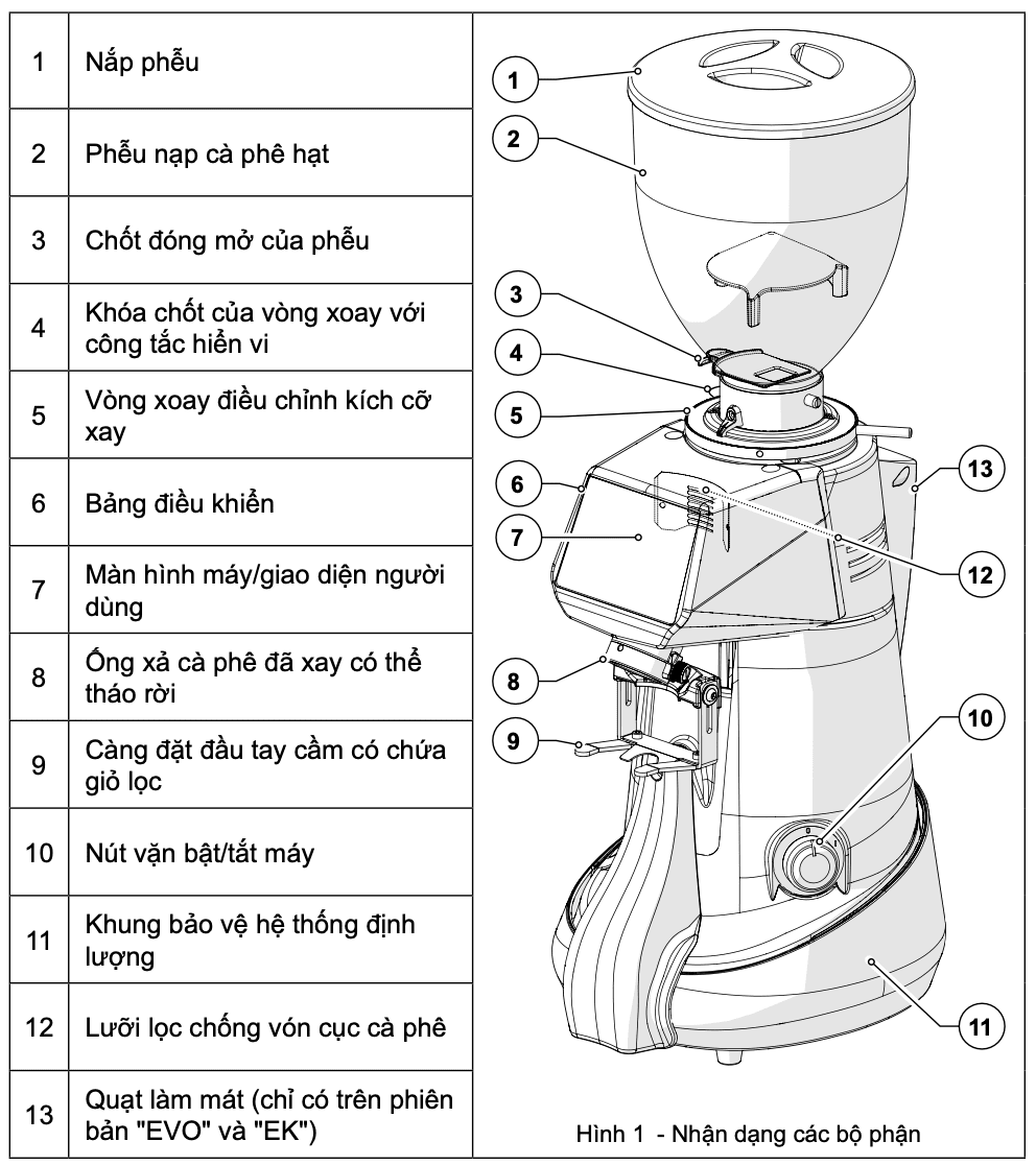 Máy xay cà phê Fiorenzato F64 E XGi 2022
