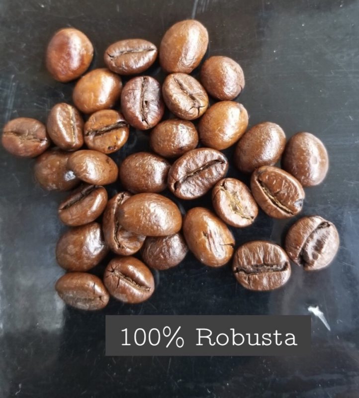 Robusta - Chàng kỵ sĩ can trường của vương quốc cà phê | Thời Đại ...